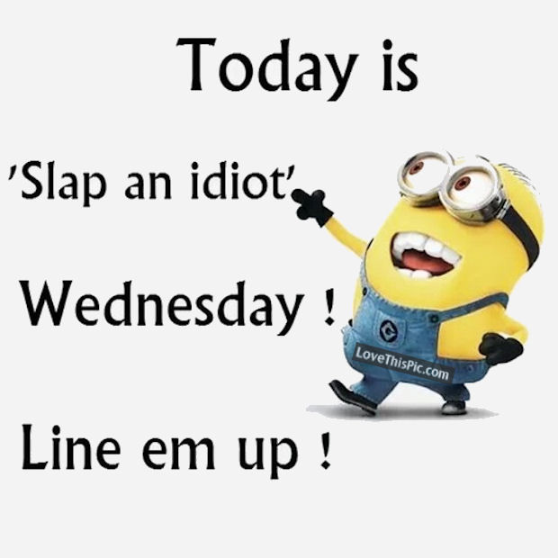 Today Is Slap An Idiot Wednesday Pictures, Photos, and Images for ...