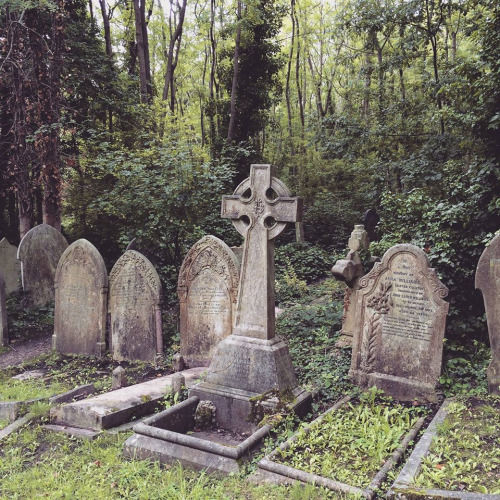 Graveyard Pictures, Photos, and Images for Facebook, Tumblr, Pinterest ...