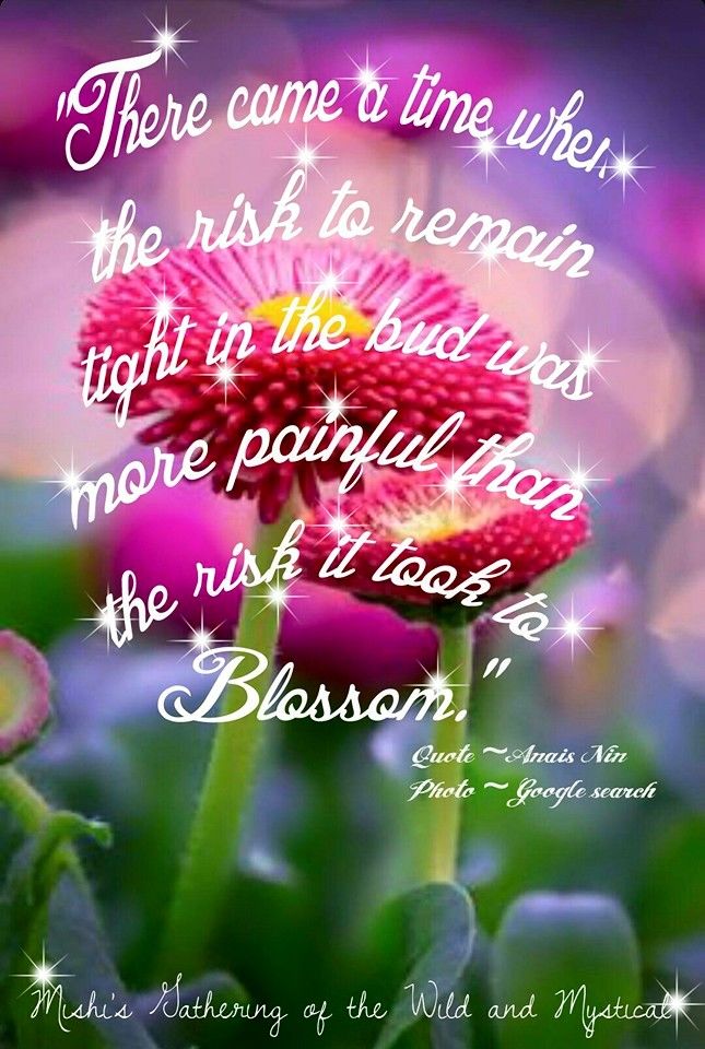 Wisdom Pictures, Photos, and Images for Facebook, Tumblr, Pinterest ...