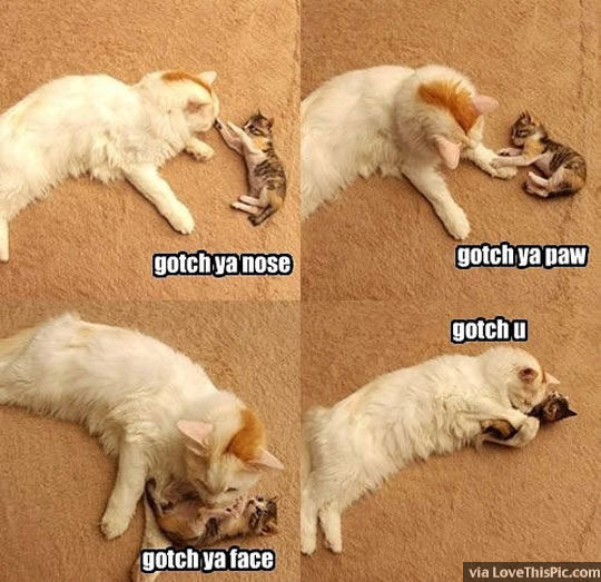 Got Ya Pictures, Photos, and Images for Facebook, Tumblr, Pinterest ...