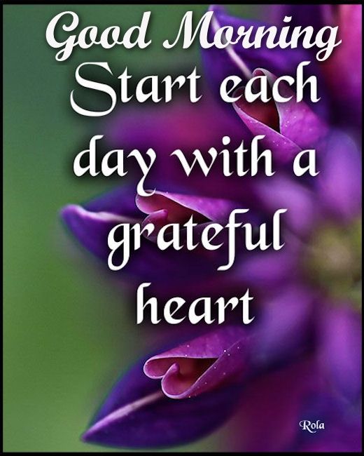 Good Morning Start Each Day With A Grateful Heart Pictures, Photos, and ...
