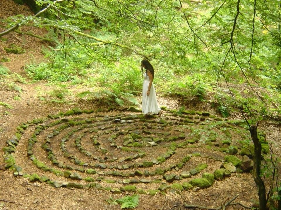 In Nature Pictures, Photos, and Images for Facebook, Tumblr, Pinterest ...