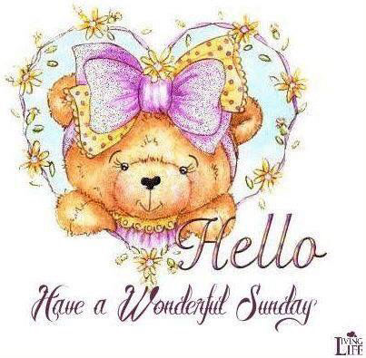 Hello Have A Wonderful Sunday Pictures, Photos, and Images for Facebook ...