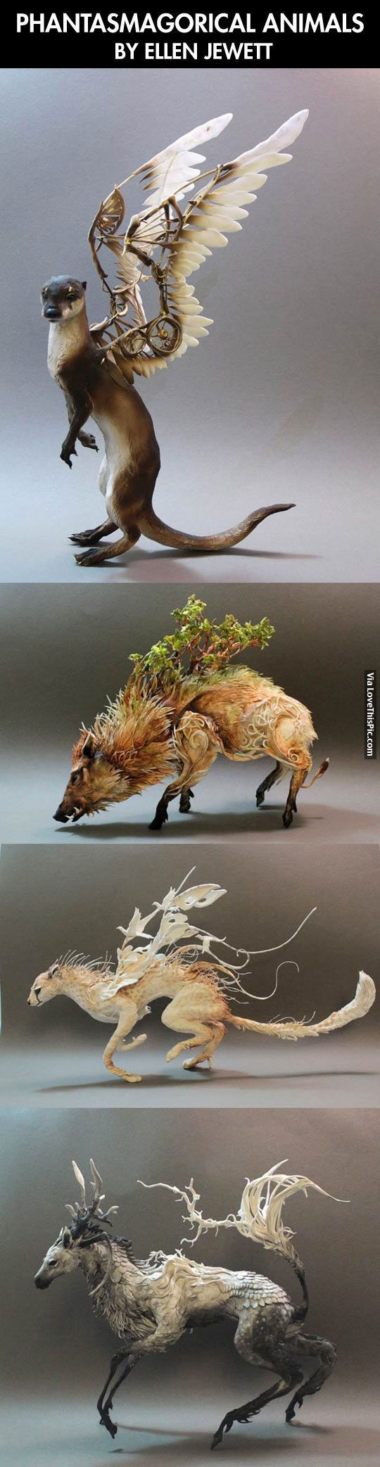 Phantasmagorical Animals Pictures, Photos, and Images for Facebook ...