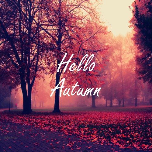 Hello Autumn Pictures, Photos, and Images for Facebook, Tumblr ...