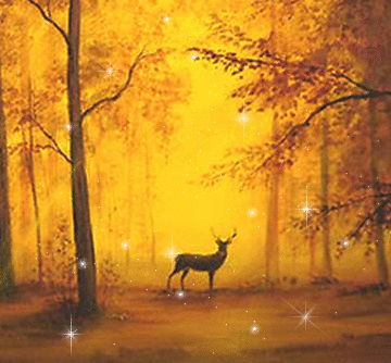 Deer In Autumn Pictures, Photos, and Images for Facebook, Tumblr ...