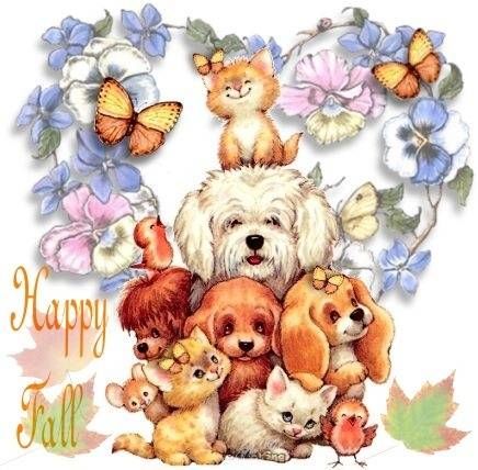 Happy Fall Pictures, Photos, and Images for Facebook, Tumblr, Pinterest ...