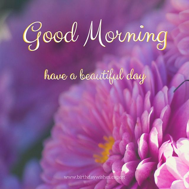 Pretty Good Morning Image Pictures, Photos, and Images for Facebook ...