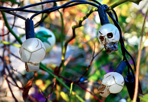 Skull Lights Pictures, Photos, and Images for Facebook, Tumblr ...