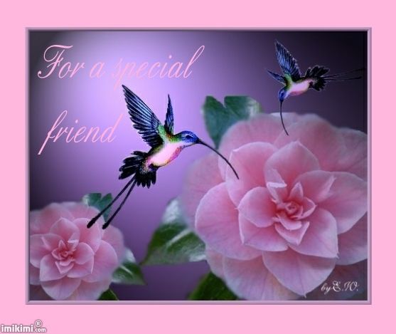 For A Special Friend Pictures, Photos, and Images for Facebook, Tumblr ...
