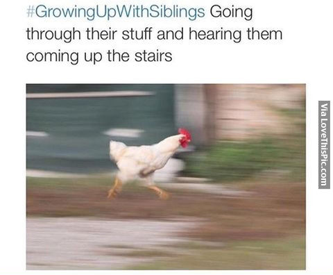 Going Through Their Stuff And Hearing Them Come Up The Stairs Pictures ...