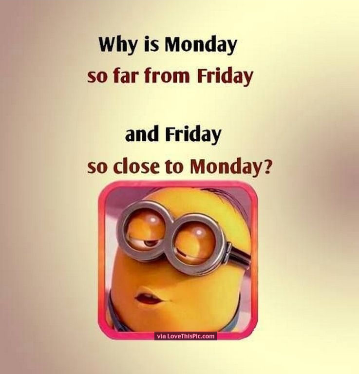 Why Is Friday So Far From Monday Minion Quote Pictures, Photos, and ...