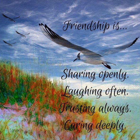 Friendship Is Sharing Laughing Trusting Caring Pictures, Photos, and ...