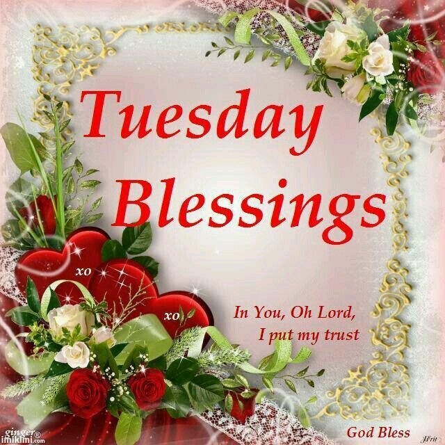 Tuesday Blessings I Trust In You Lord Pictures, Photos, and Images for ...