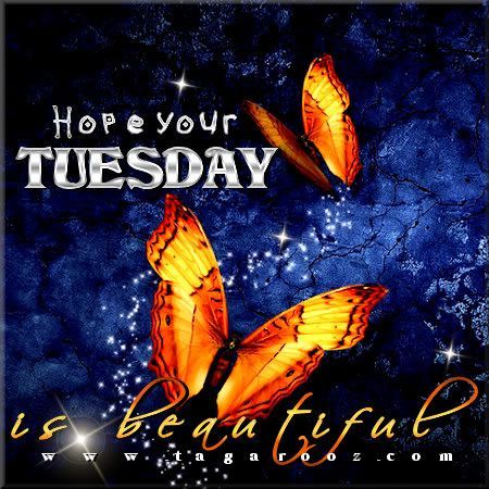 Hope Your Tuesday Is Wonderful Pictures, Photos, and Images for ...