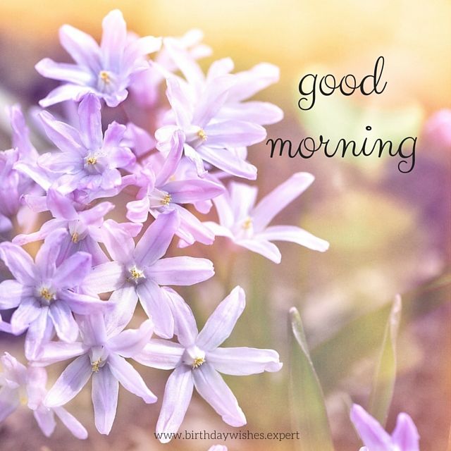 Good Morning Images Pictures, Photos, and Images for Facebook, Tumblr ...