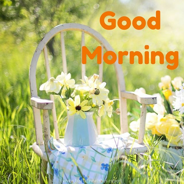 Good Morning Images Pictures, Photos, and Images for Facebook, Tumblr ...