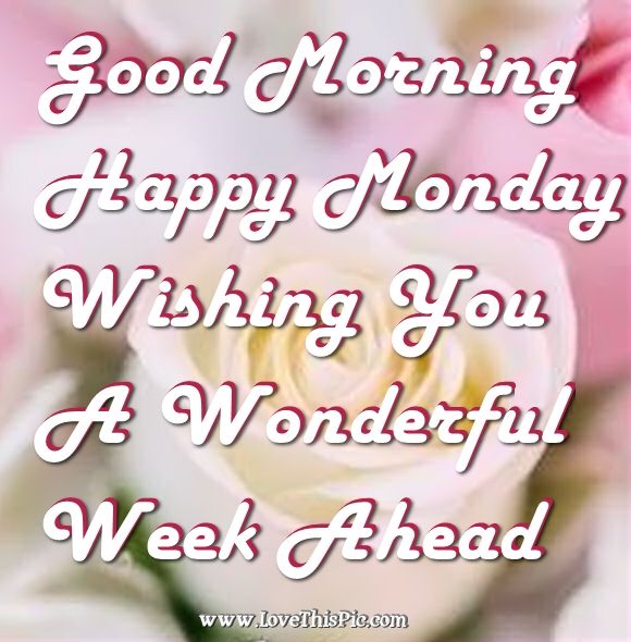 Good Morning Happy Monday Wishing You A Wonderful Week Pictures, Photos, and Images for Facebook ...
