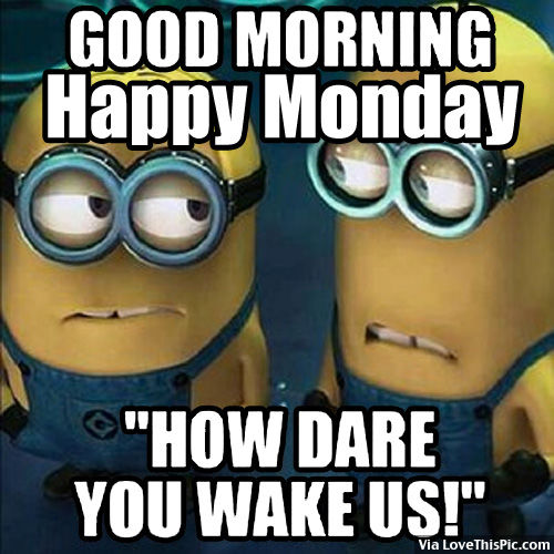 Good Morning, Happy Monday...How Dare You Wake Us! Pictures, Photos ...