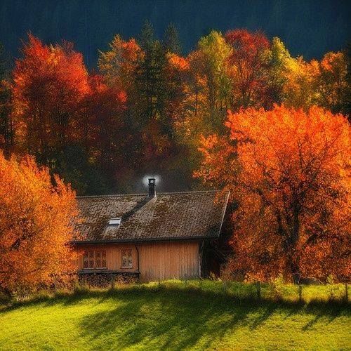Autumn Cabin Pictures, Photos, and Images for Facebook, Tumblr ...