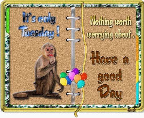It's Only Tuesday Pictures, Photos, and Images for Facebook, Tumblr ...