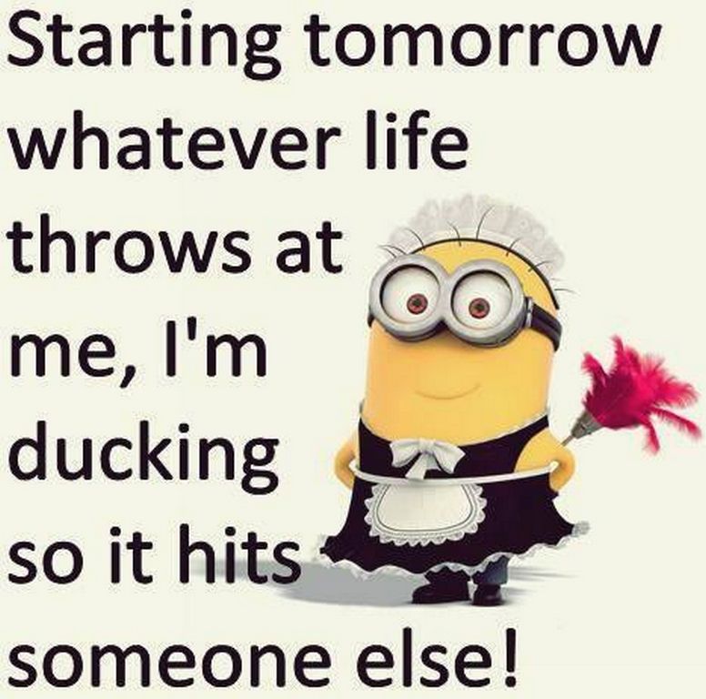 Starting Tomorrow Funny Minion Quote Pictures, Photos, and Images for ...