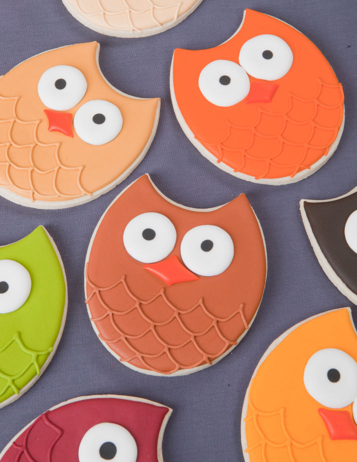Owl Cookies Pictures, Photos, and Images for Facebook, Tumblr ...