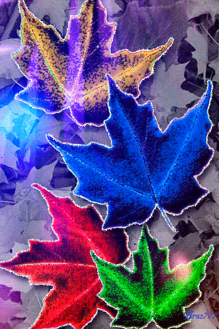 Colored Leaves Pictures, Photos, and Images for Facebook, Tumblr ...