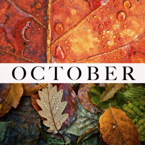 October Pictures, Photos, and Images for Facebook, Tumblr, Pinterest ...