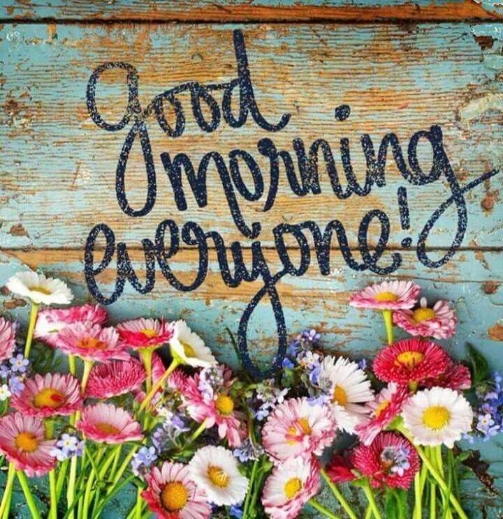 Good Morning Everyone Quote Pictures Photos And Images For Facebook good-morning-everyone-quote-pictures-photos-and-images-for-facebook