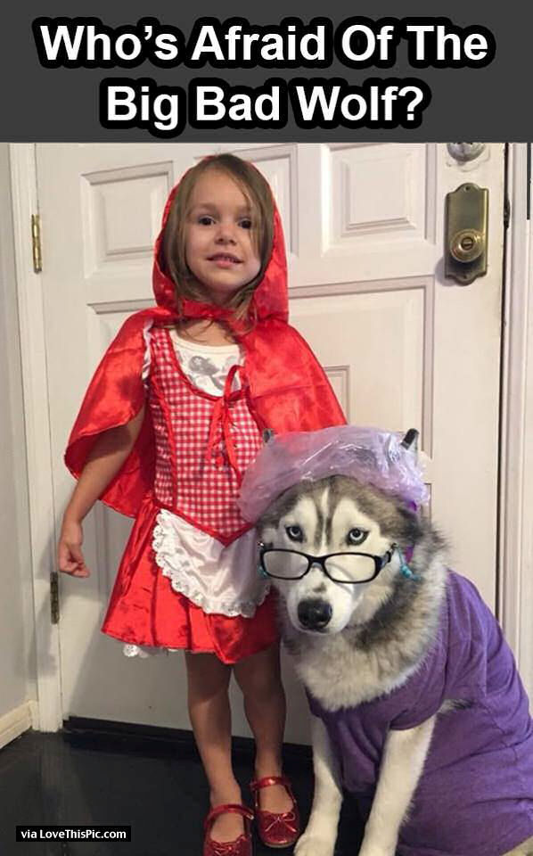 Who's Afraid Of The Big Bad Wolf Pictures, Photos, and Images for ...