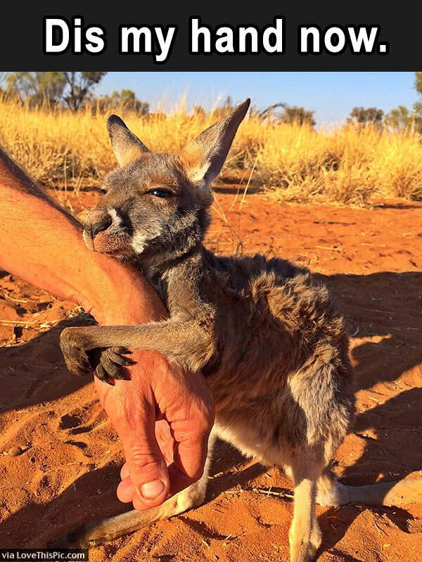 Dis Is My Hand Now Pictures, Photos, and Images for Facebook, Tumblr ...