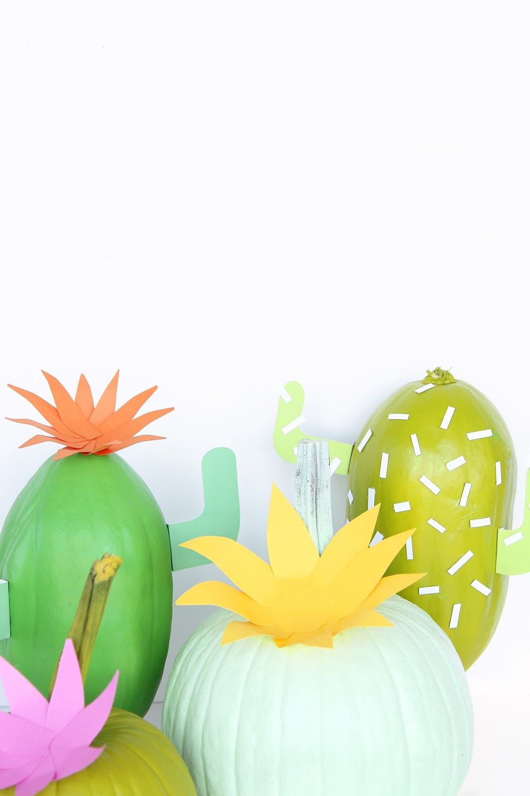 Cactus Pumpkins Pictures, Photos, and Images for Facebook, Tumblr ...