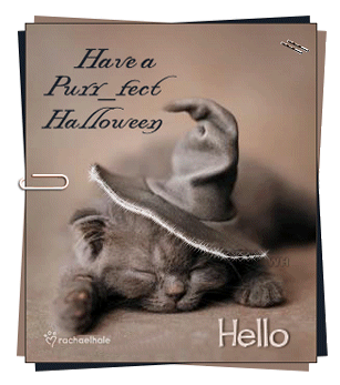 Have A Purr Fect Halloween Pictures, Photos, and Images for Facebook ...
