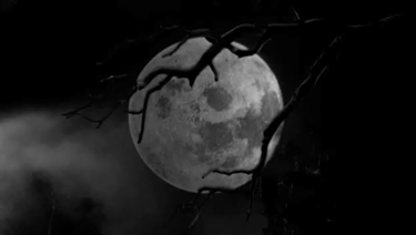 Full Dark Moon Pictures, Photos, and Images for Facebook, Tumblr ...