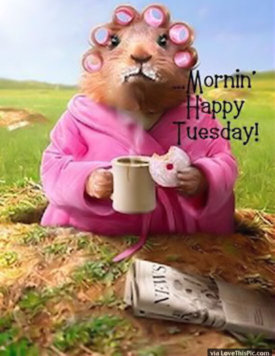 Mornin Happy Tuesday Pictures, Photos, and Images for Facebook, Tumblr ...