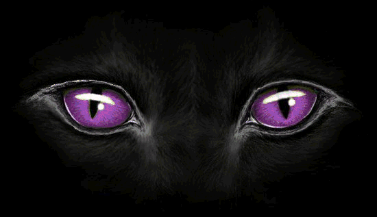 Glowing Cat's Eyes Pictures, Photos, and Images for Facebook, Tumblr ...
