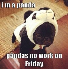 Pandas No Work On Friday Pictures, Photos, and Images for Facebook ...