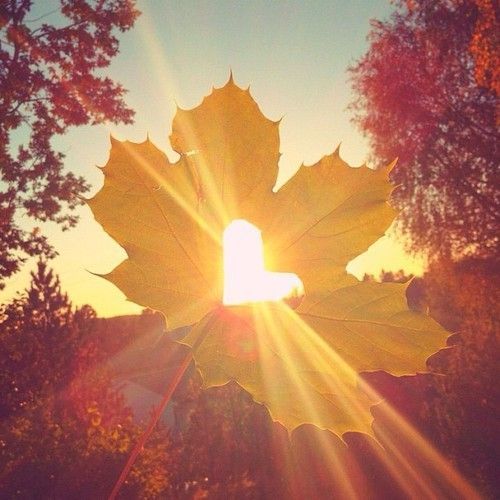 Autumn Pictures, Photos, and Images for Facebook, Tumblr, Pinterest ...