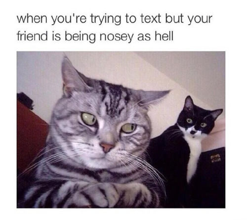 The Nosey Friend Pictures, Photos, and Images for Facebook, Tumblr ...