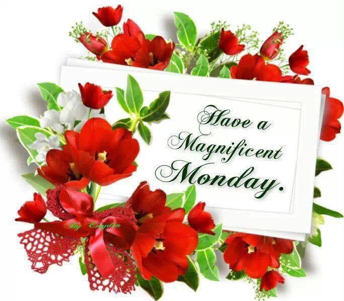 Have A Magnificent Monday Pictures, Photos, and Images for Facebook ...