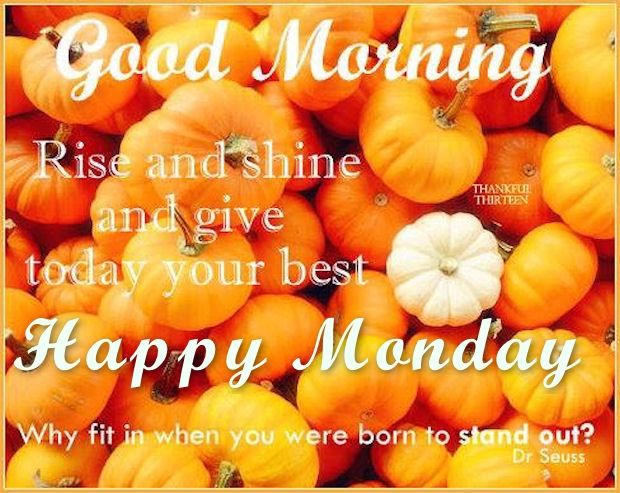 Good Morning Rise And Shine Happy Monday Pictures, Photos, and Images ...