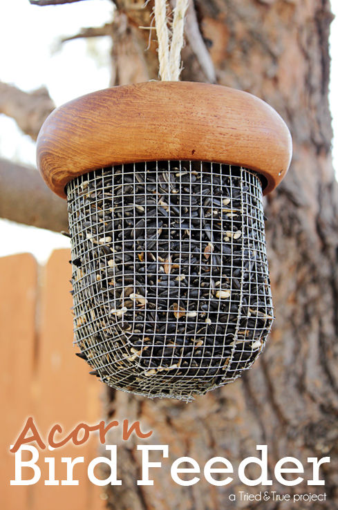 Acorn Bird Feeder Pictures, Photos, and Images for Facebook, Tumblr ...