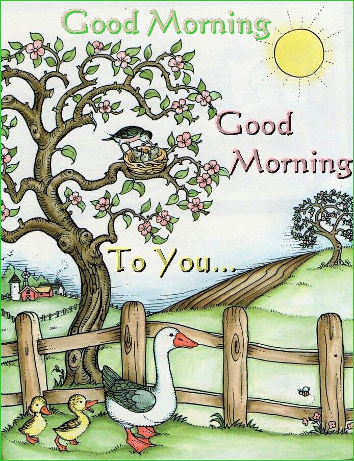 Good Morning To You Pictures, Photos, and Images for Facebook, Tumblr ...