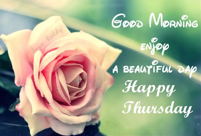 Good Morning Enjoy The Day Ahead Happy Thursday Pictures, Photos, and ...