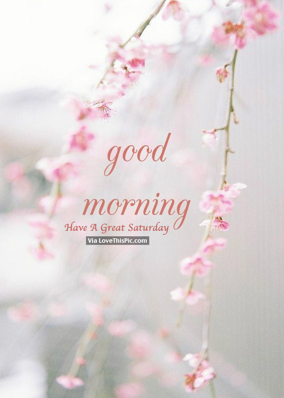 Good Morning, Have A Great Saturday Pictures, Photos, and Images for ...