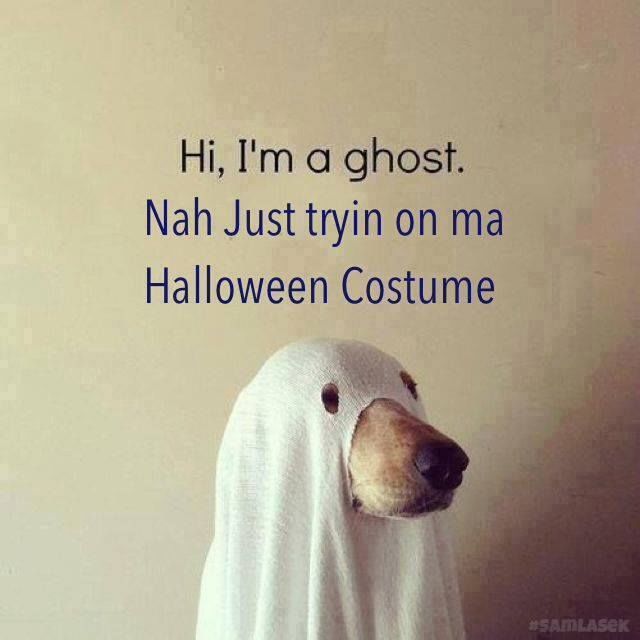 Hi, I'm A Ghost.... Pictures, Photos, and Images for Facebook, Tumblr ...