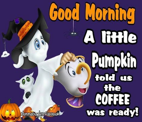 Good Morning Pictures, Photos, and Images for Facebook, Tumblr ...