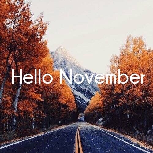 Hello November With Orange Trees Pictures, Photos, and Images for ...
