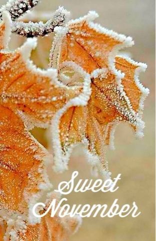 Sweet November Pictures, Photos, and Images for Facebook, Tumblr ...